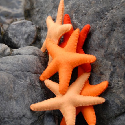 Felt Starfish Sewing Pattern – AllCrafts Free Crafts Update